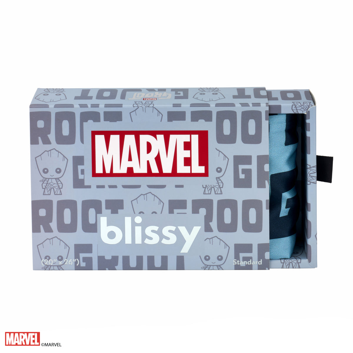 Blissy 100% Mulberry 22-Momme Silk Pillowcase - Blue Groot Letter Print - Queen