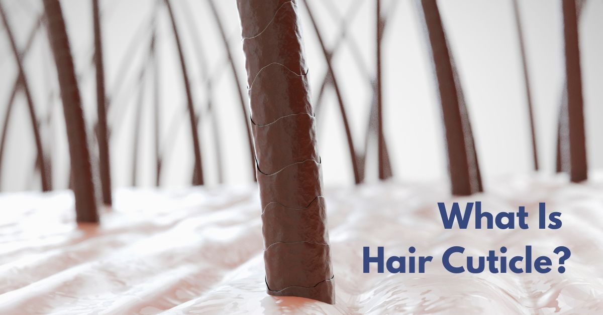 What is Hair Cuticle? A Comprehensive Guide – Blissy