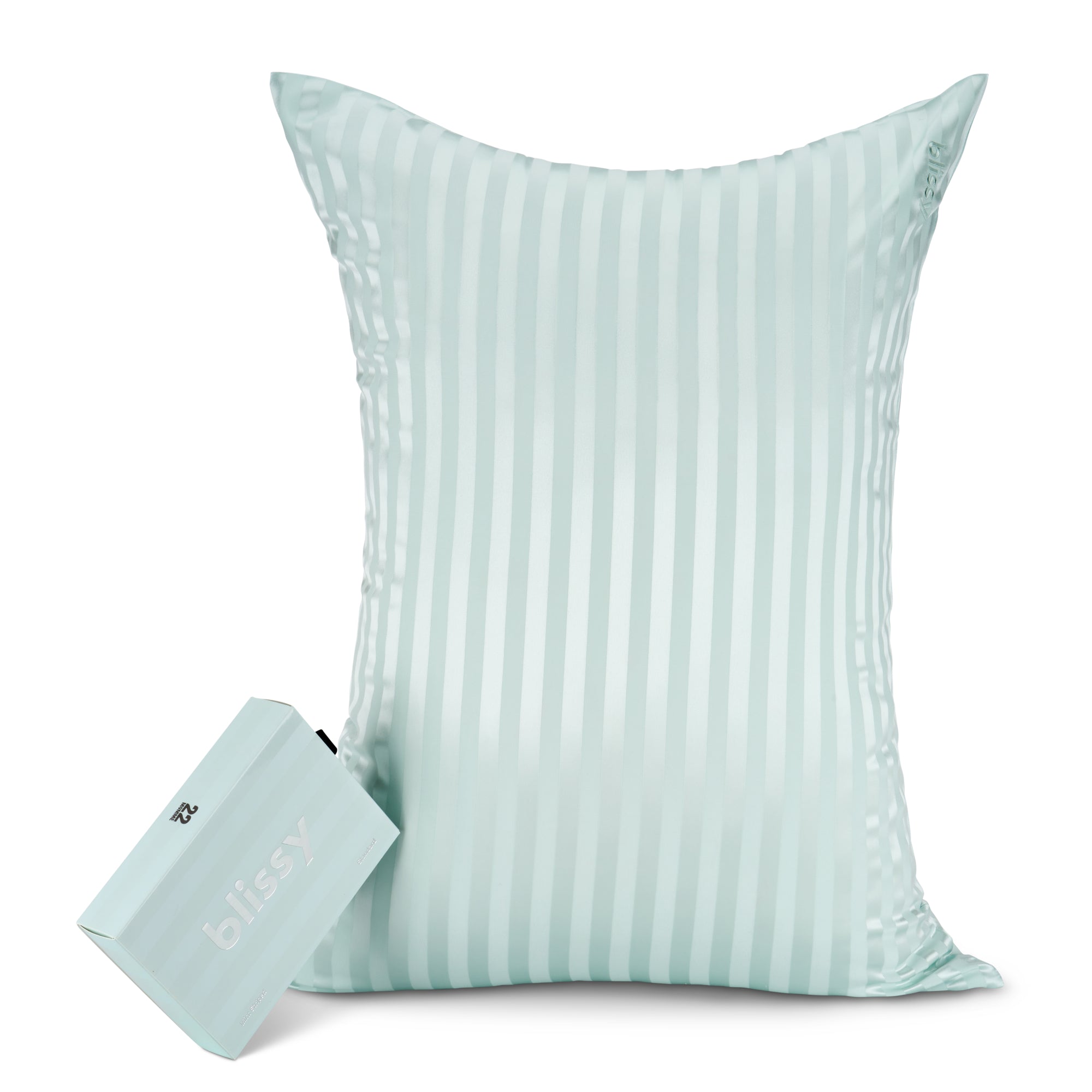 Blissy 100% Mulberry 22-Momme Silk Pillowcase - Mint Striped - Standard